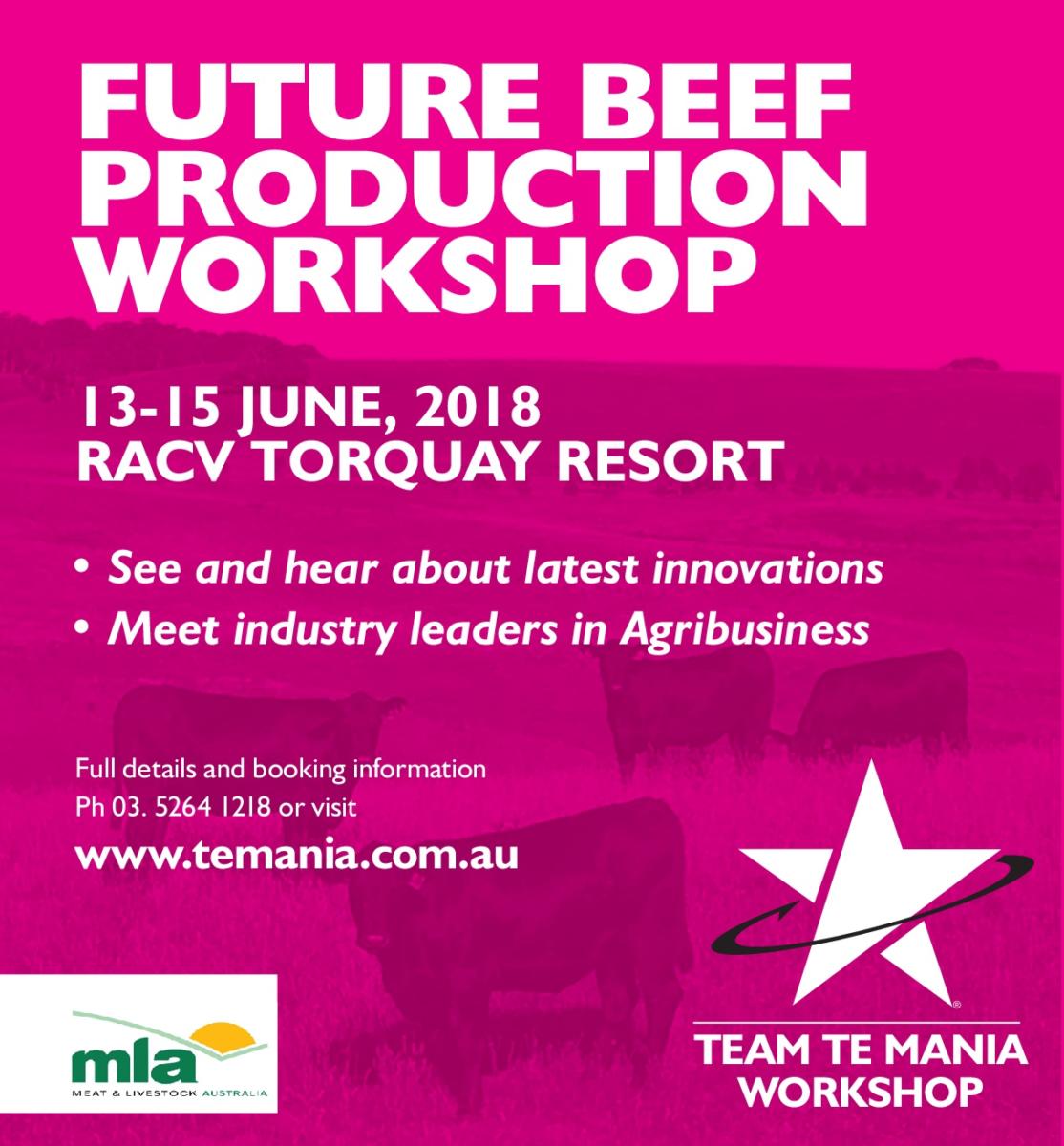Team Workshop Banner Te Mania Angus team-workshop-banner-te-mania-angus